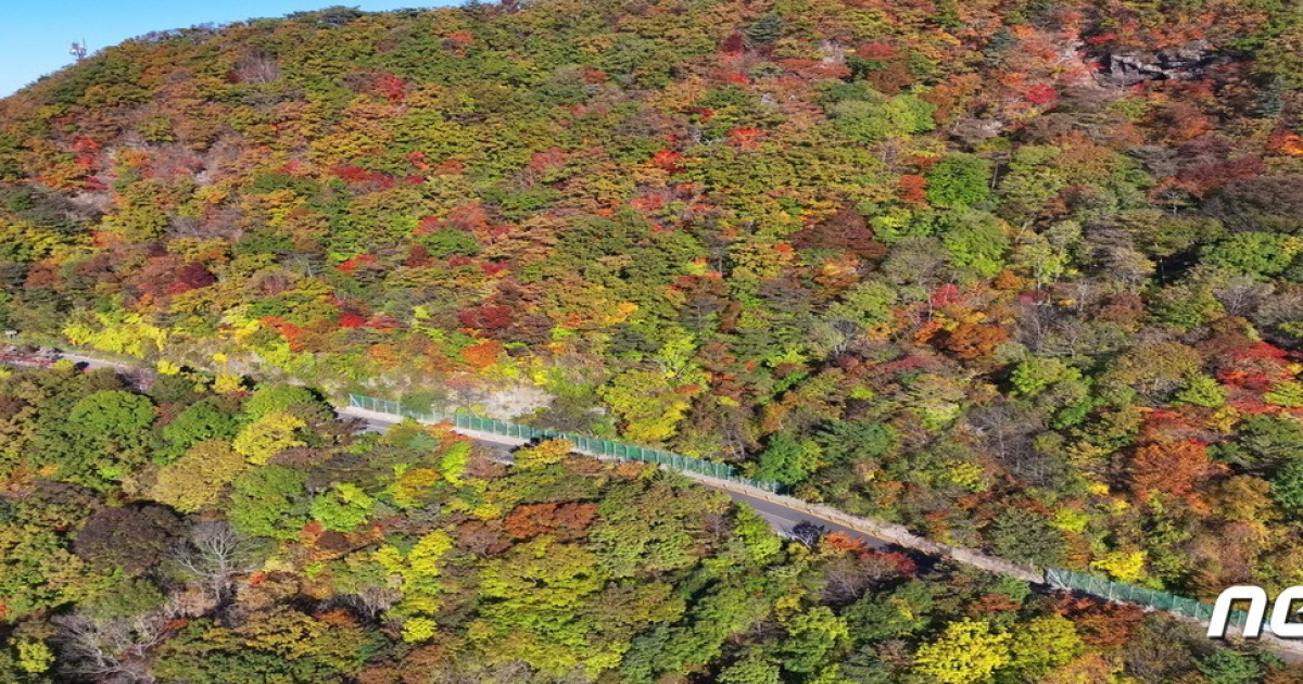 지리산 가을단풍 27일부터 절정…"노고단코스 추천"
