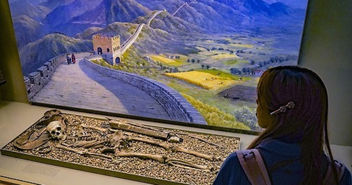 Museum Human Remains
