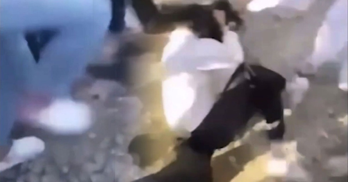 야 너도 때려 둘러싸고 발길질‥촉법소년들 집단 학폭에 발칵