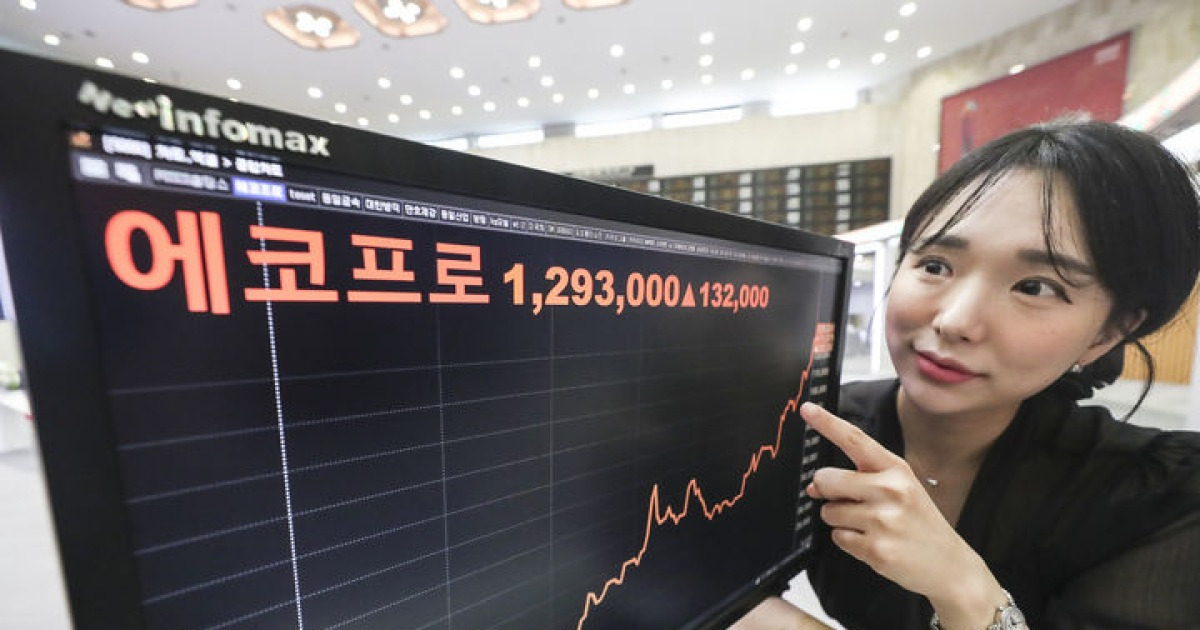 에코프로·포스코그룹주 급락에…2차전지 ETF -40%