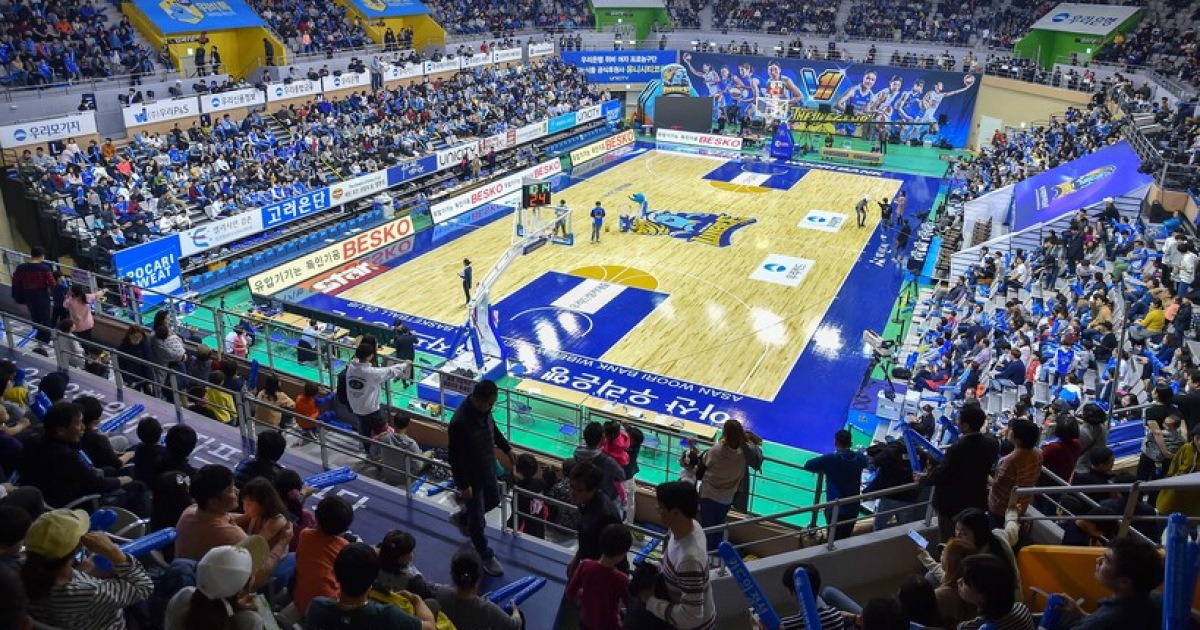 [WKBL 개막 D-3] WKBL 100배 즐기는 법? 직관 후기 공유한다