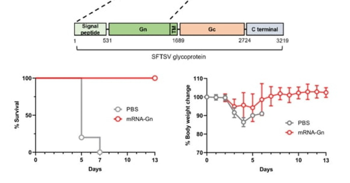 남재환 가톨릭대 교수, SFTS 예방용 mRNA 백신 개발
