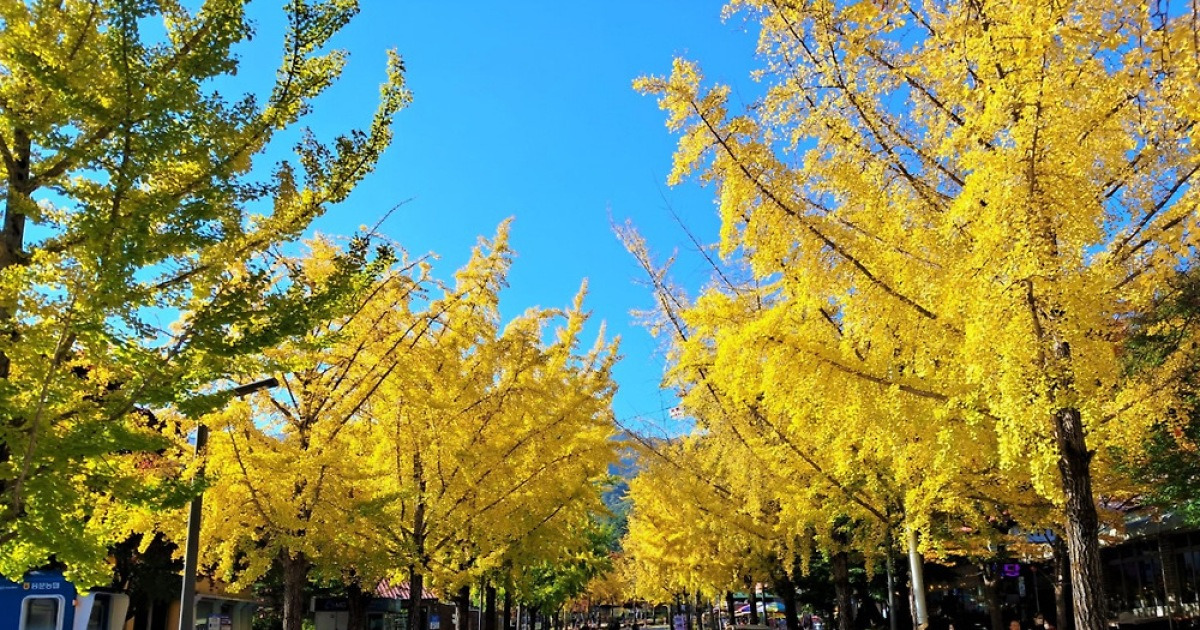 Catch fleeting fall foliage with exciting outdoor activities