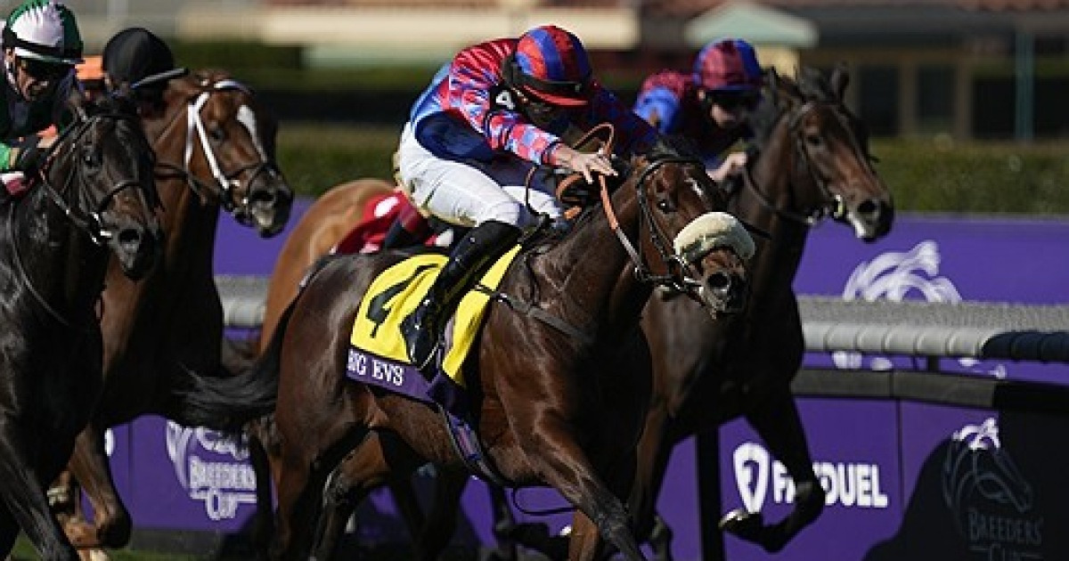 Breeders Cup Juvenile Turf Sprint Horse Racing