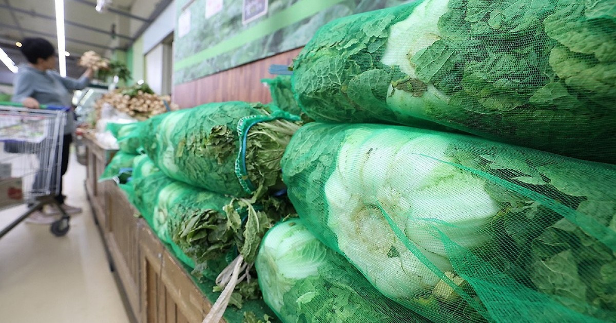 농식품부 김장철 물가안정에 총력…재료 공급 확대