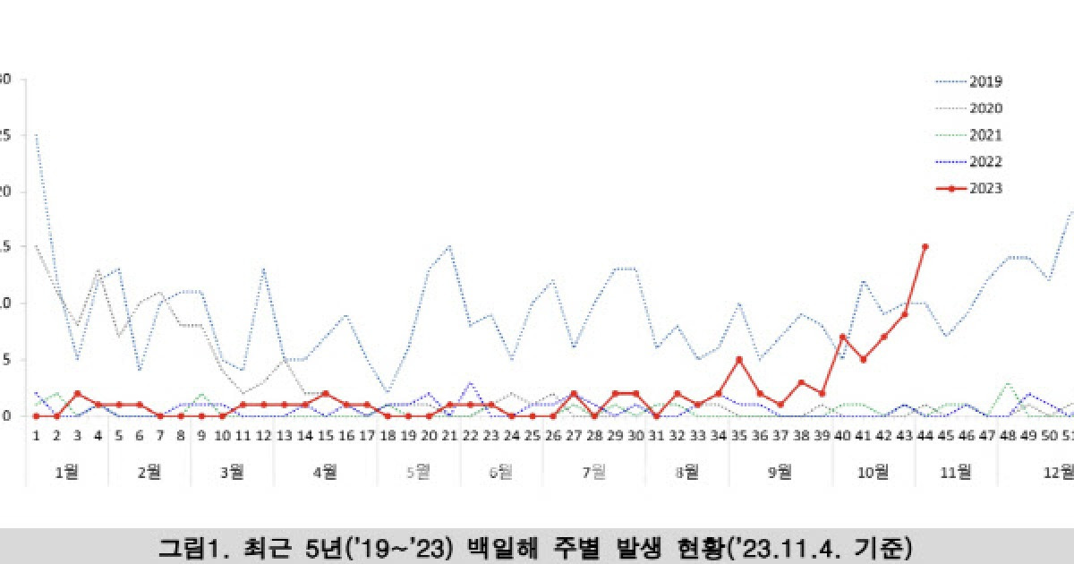 멈추지 않는 발작성 기침 백일해 환자 쑥
