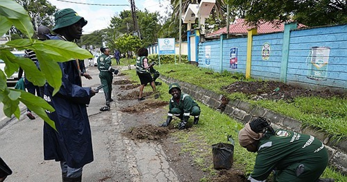 Kenya Tree Planting