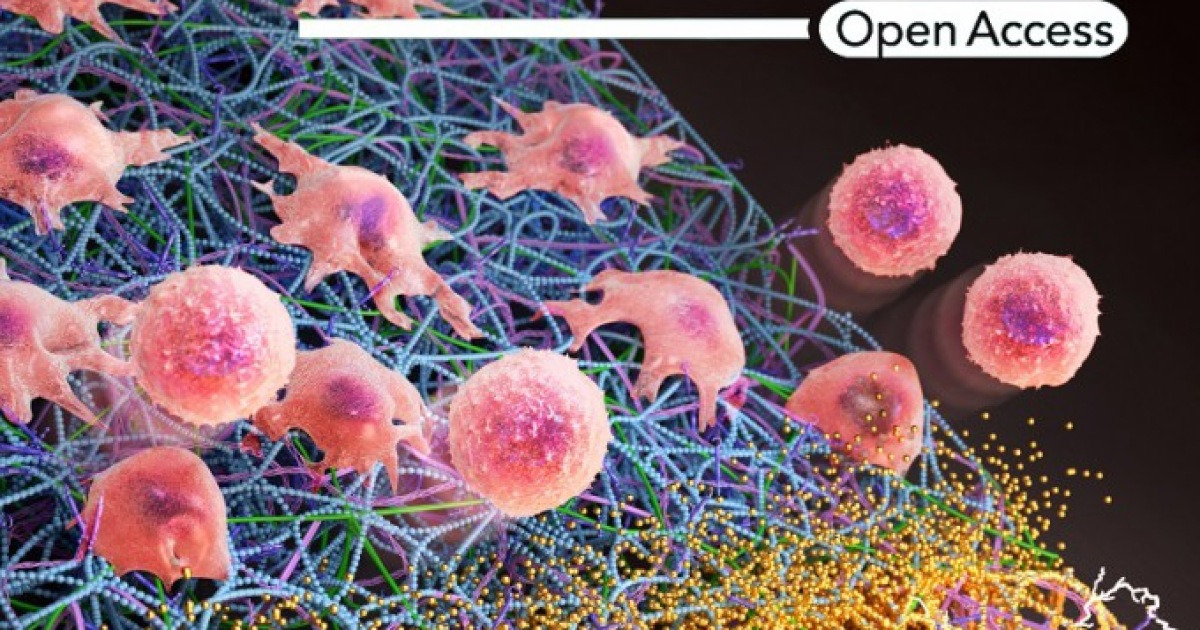 [과기원NOW] KAIST, 생체 내 단백질 구조체 모사한 '금속 필름' 개발 外