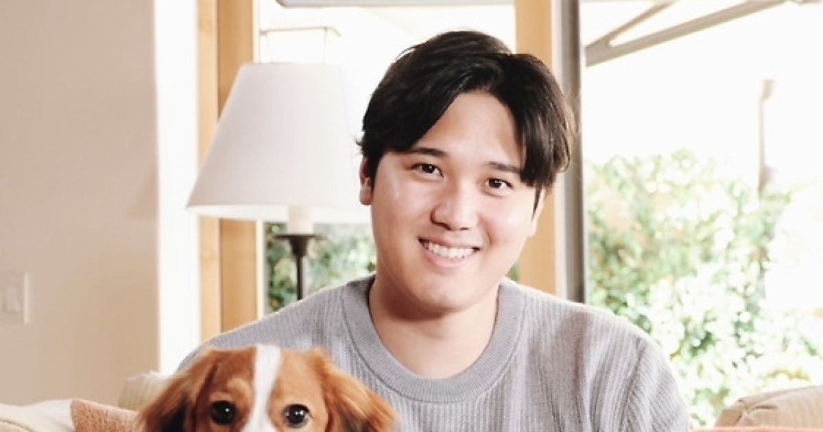 오타니 사상 최초 WBC+ML MVP 동시 석권, "최상급의 빛을 발한 1년" 극찬 폭발