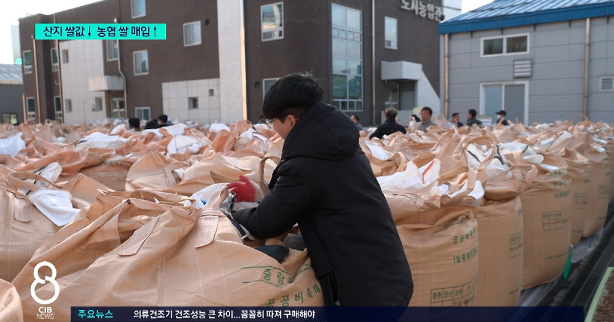 농민들 쌀값 떨어질라 농협에 벼 매입 요청 급증