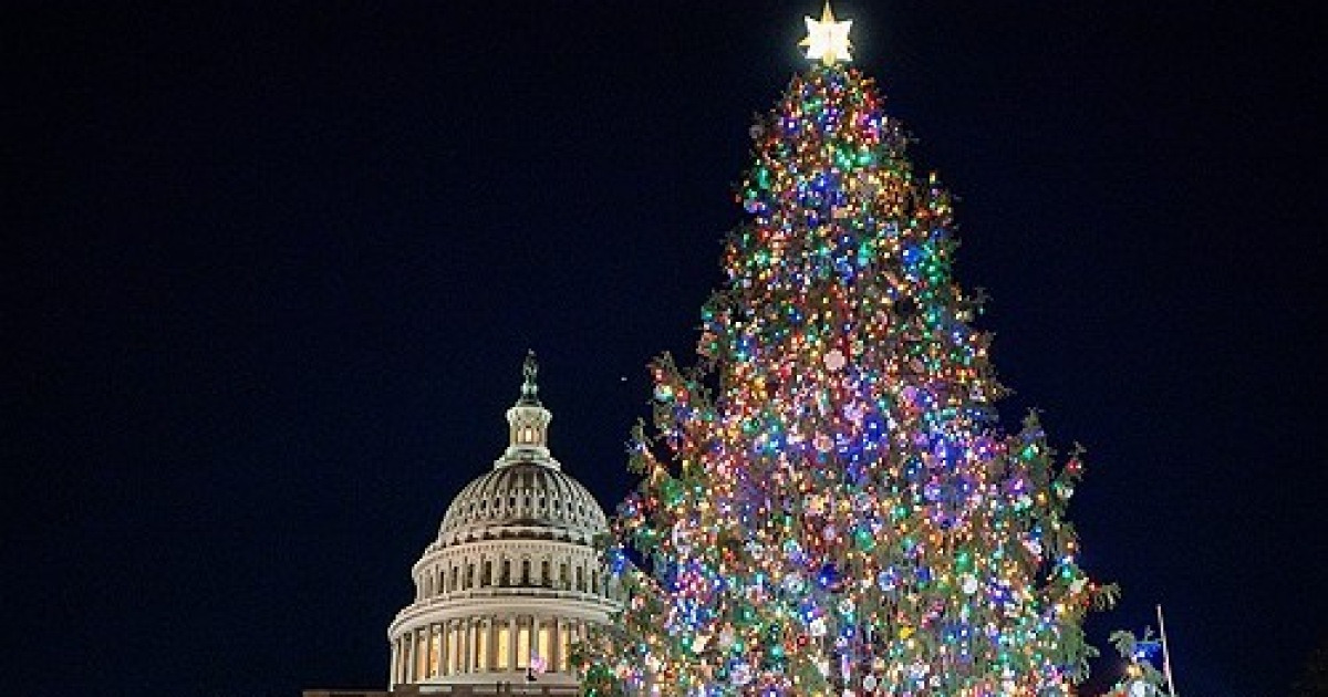 USA CAPITOL CHRISTMAS TREE