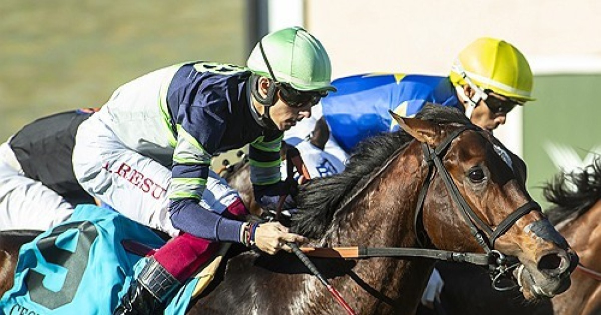 Del Mar Horse Racing