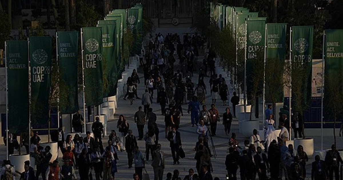 COP28 Climate Summit Attendees