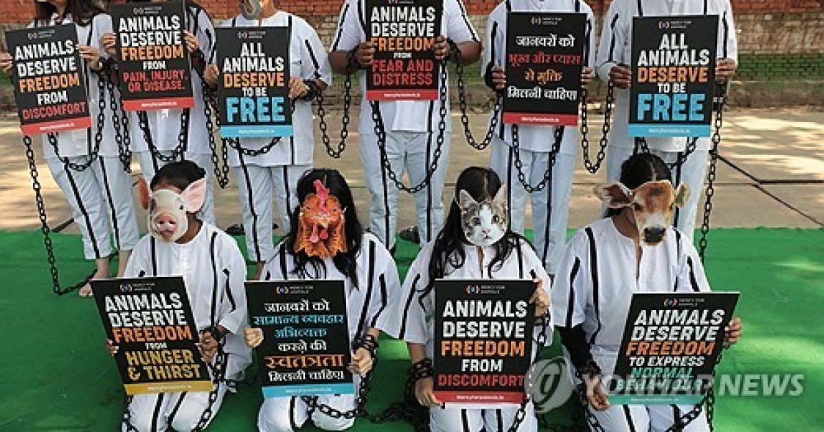 INDIA ANIMAL RIGHTS PROTEST