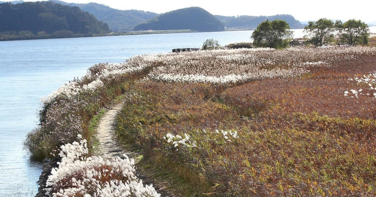 [imazine] 갈대가 있는 풍경 ① 소박함 속의 풍요로움