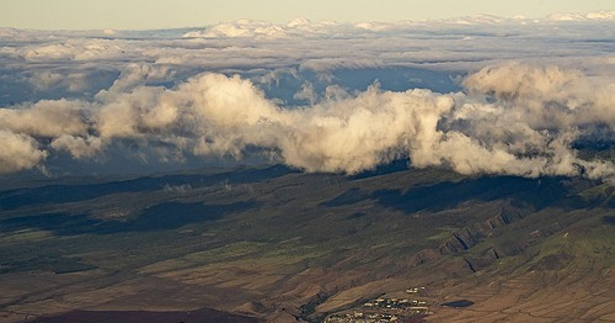 Hawaii Wildfire Front Street