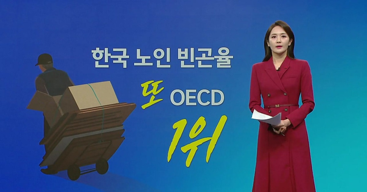 노인 빈곤율도 OECD 1위... "76세 이상 절반은 빈곤" [앵커리포트]