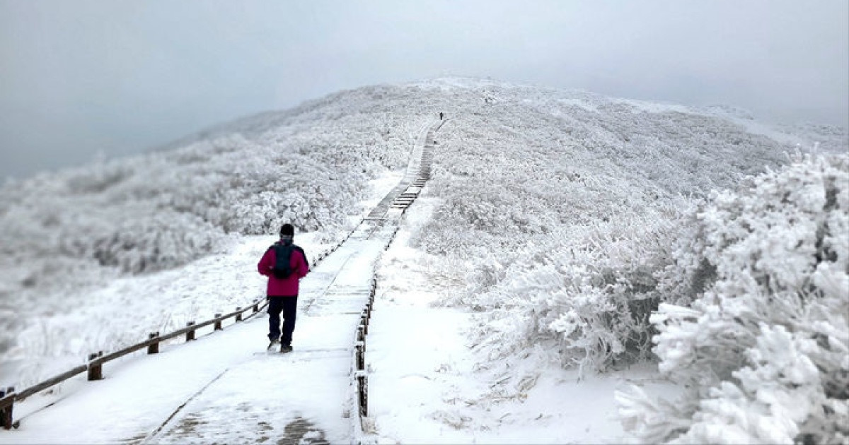 지리산 노고단의 설경 [오늘의 한 컷]