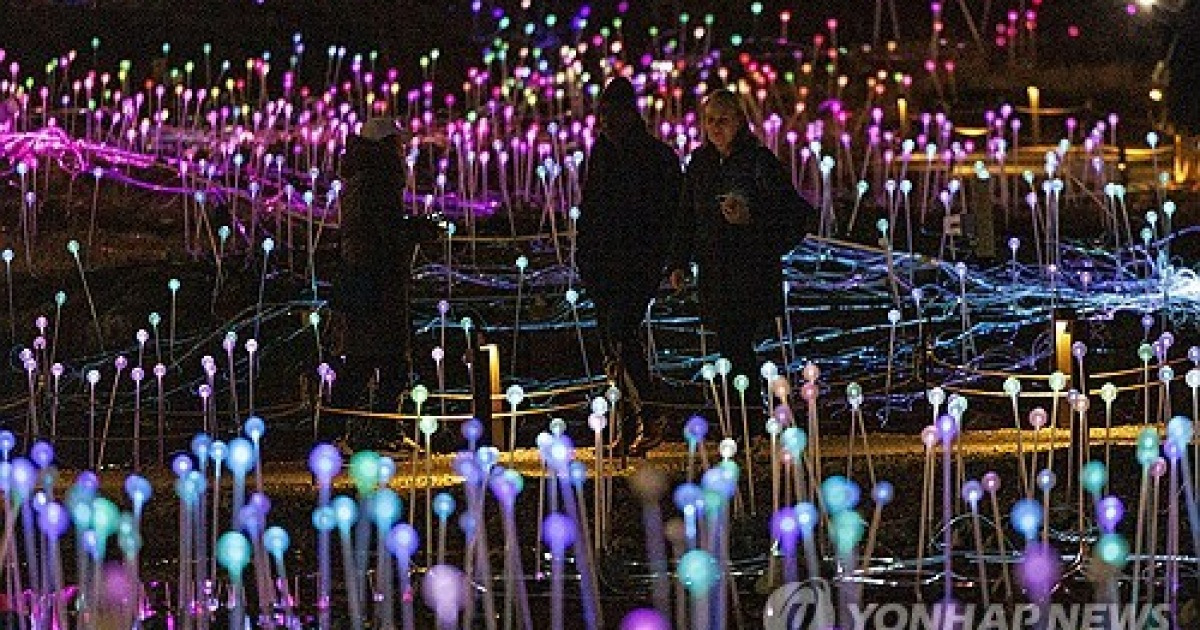 USA FIELD OF LIGHT ART INSTALLATION