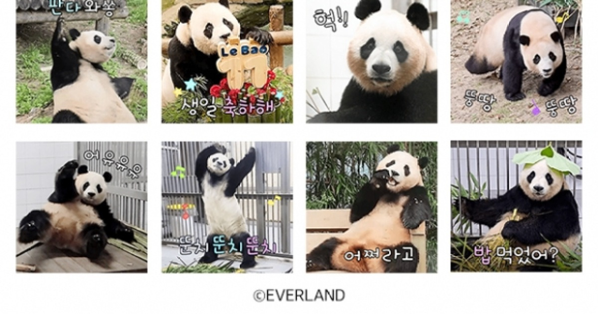 에버랜드 판다 푸바오 이모티콘 출시 하루만에 1위