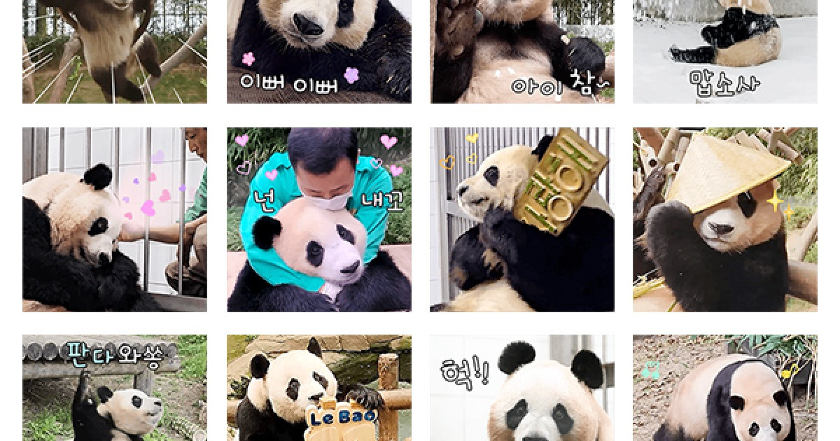 에버랜드, 푸바오 이모티콘 3탄도 출시 하루 만에 1위