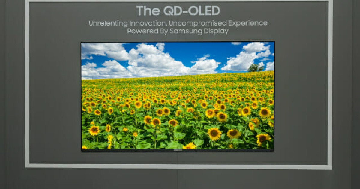 "새해는 OLED 대전환의 해"…삼성D·LGD 시장 대응 총력전