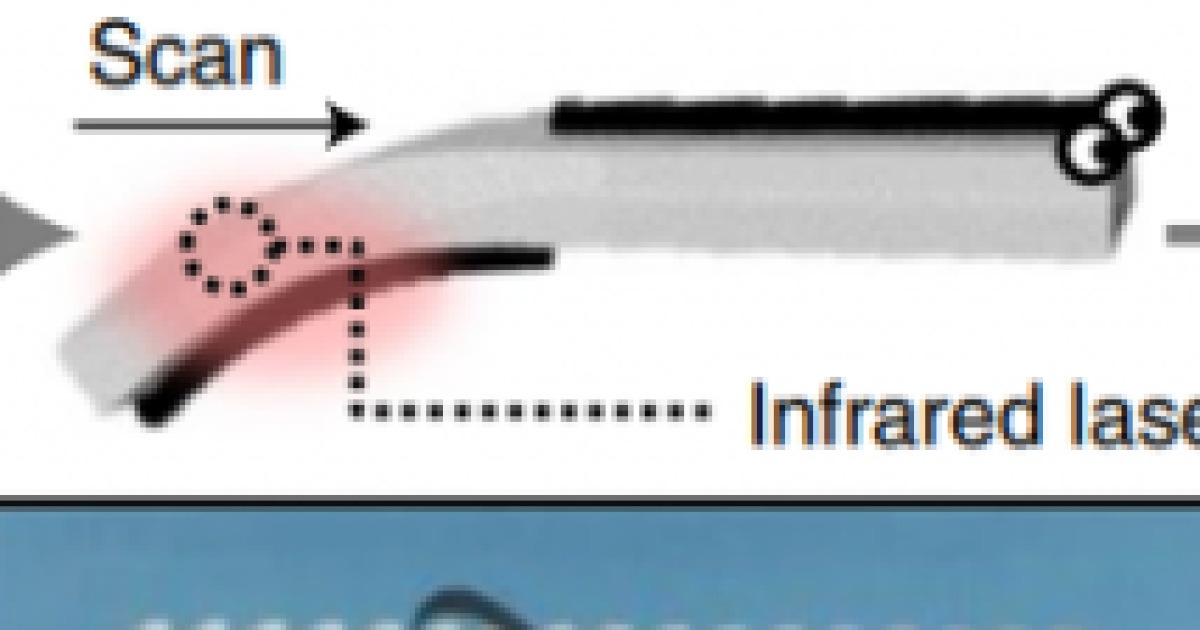 [과기원NOW] KAIST ‘헤라클레스 인공근육’ 2023년 10대 기술 선정 外