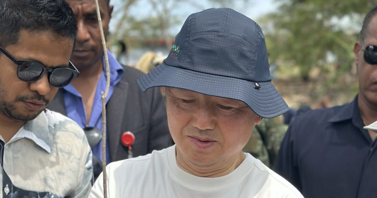 KFS plants sandalwood in East Timor for better future