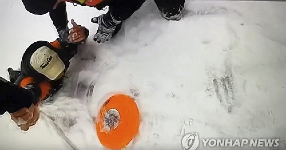 Lake Rescue Helpful Dog