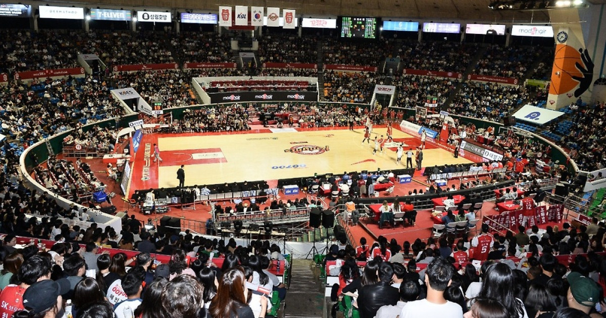 '평균 관중 1위' SK 나이츠, KBL 최초 300만 관중 돌파 '눈앞'
