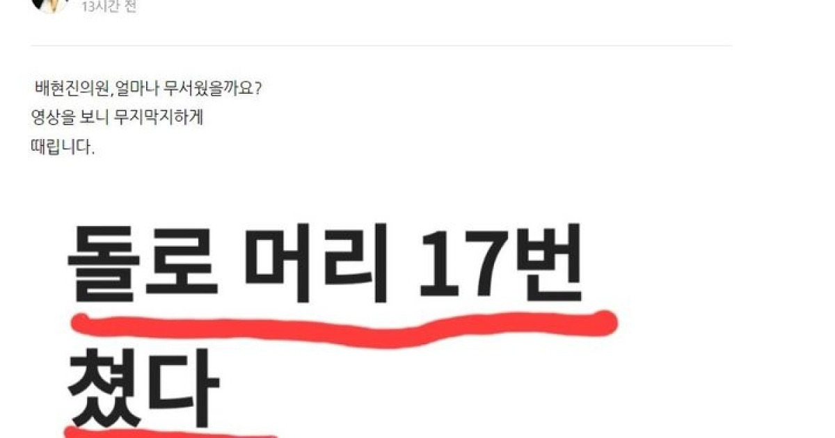 배현진 습격 배후 가능성 있어…전여옥 의혹 제기