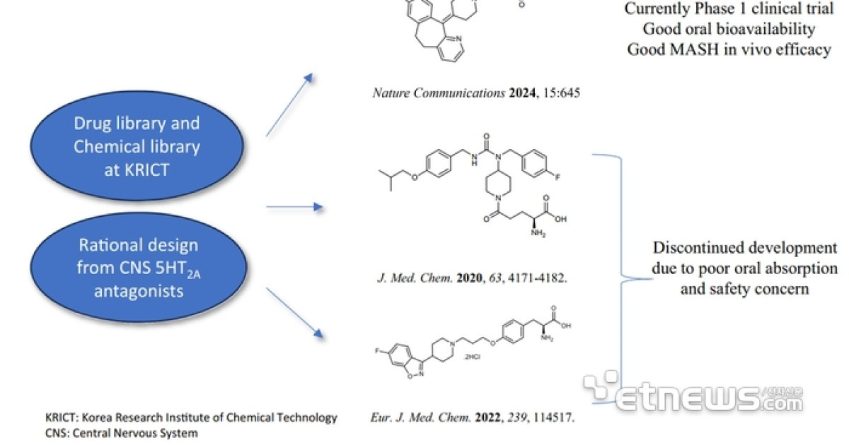 GIST-KAIST, 지방간 치료제 신약 물질 개발…지방간 축적·간 섬유화 동시 억제