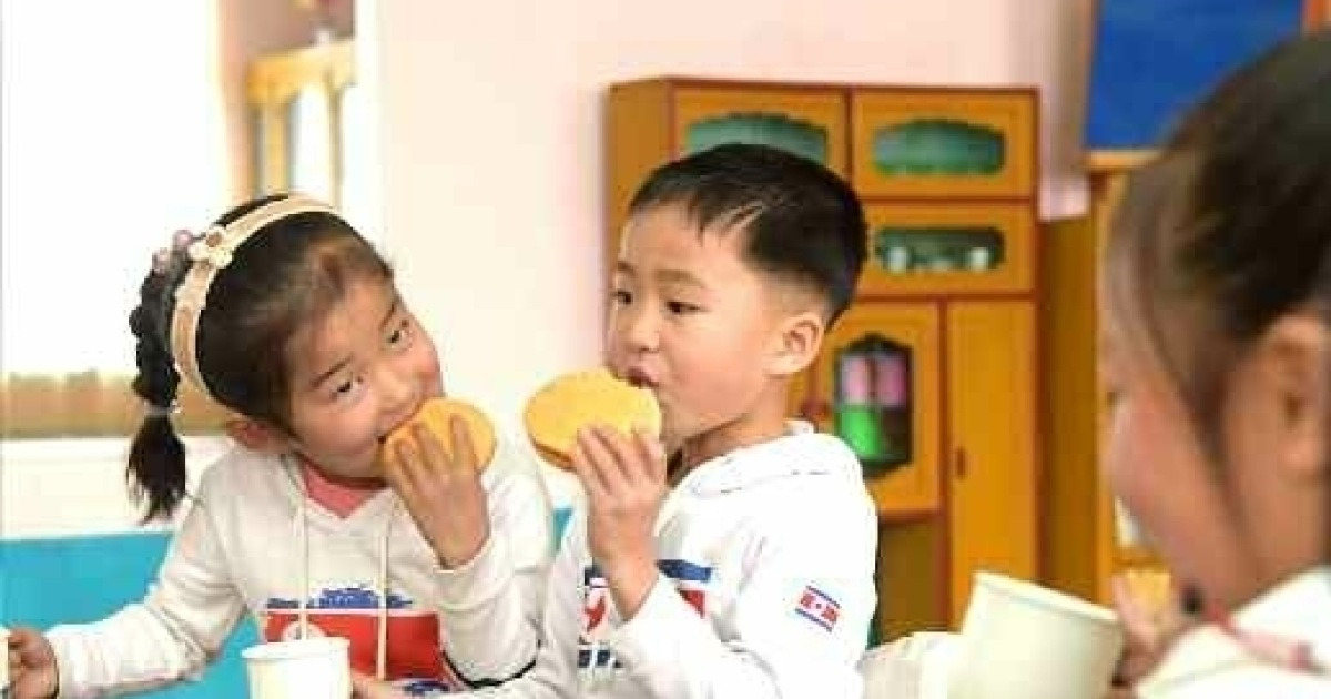 노동신문 김화군 지방발전 사례 조명…당 정책 정당성 실증