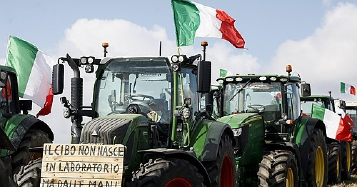 Italy Europe Farmers