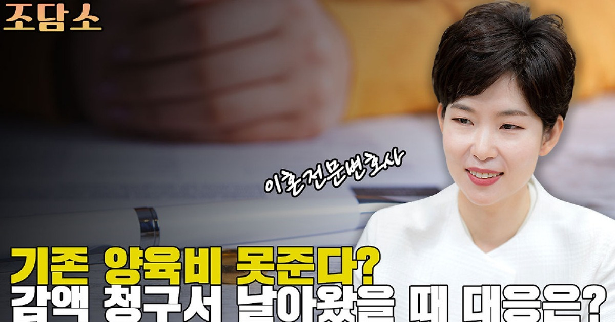 [조담소] 110만원 양육비 주기로 했는데...감액 청구서가 날아온다면?