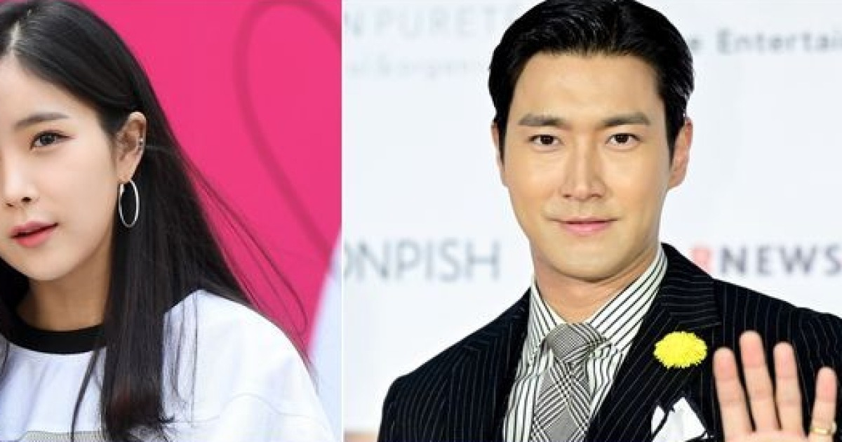 코인 사기? 오킹만 인정→나선욱x최시원x조현영은 손절..피바람 ing(종합)[Oh!쎈 이슈]