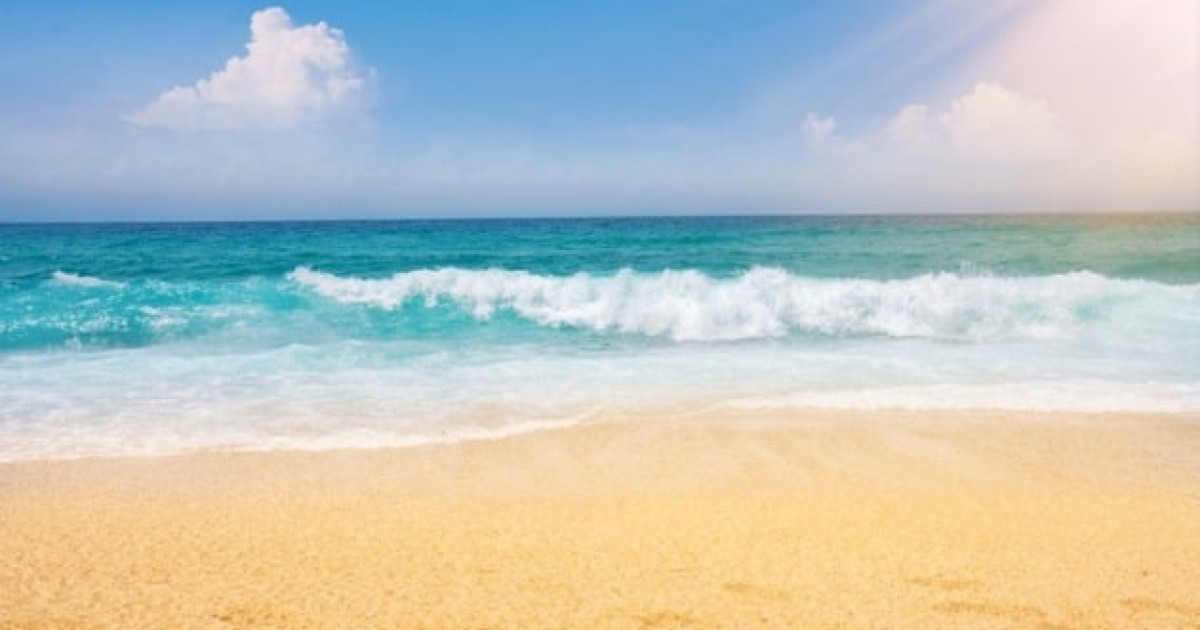 호주 누드비치 운영 중단…"나체 관람객들이 환경 파괴"