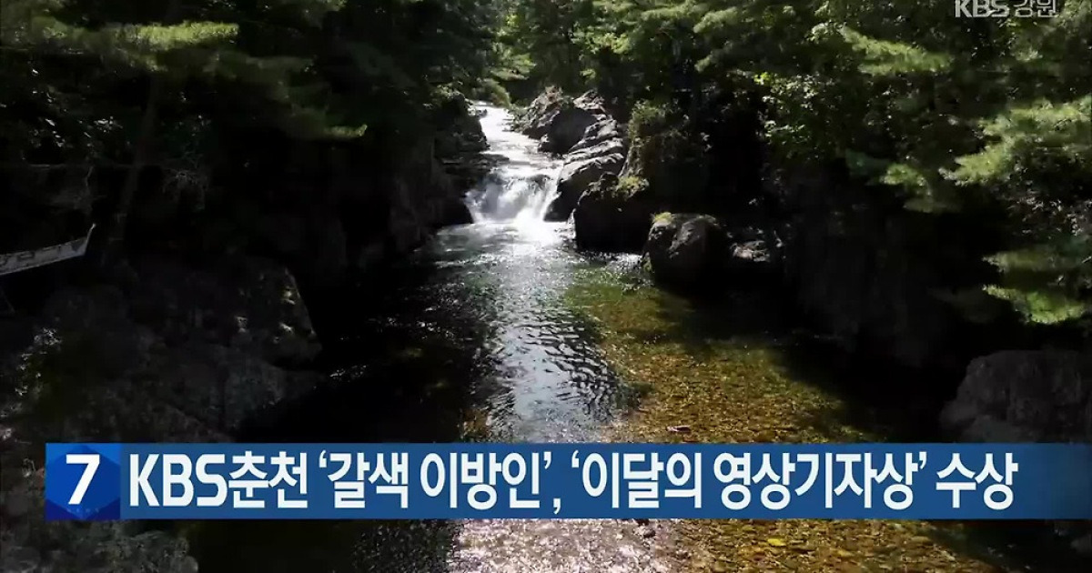 KBS춘천 ‘갈색 이방인’, ‘이달의 영상기자상’ 수상