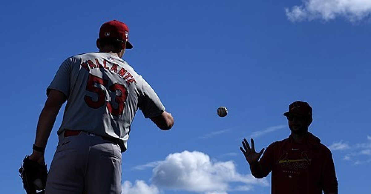 Cardinals Baseball