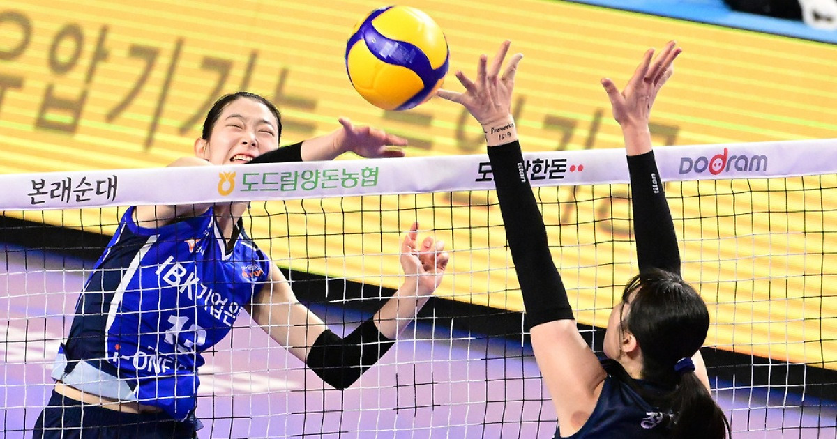 '최정민 5블로킹' IBK, GS칼텍스 완파…OK금융도 KB손보 꺾고 3위 도약