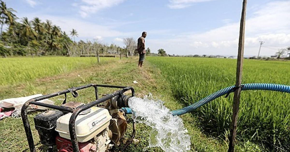 INDONESIA AGRICULTURE
