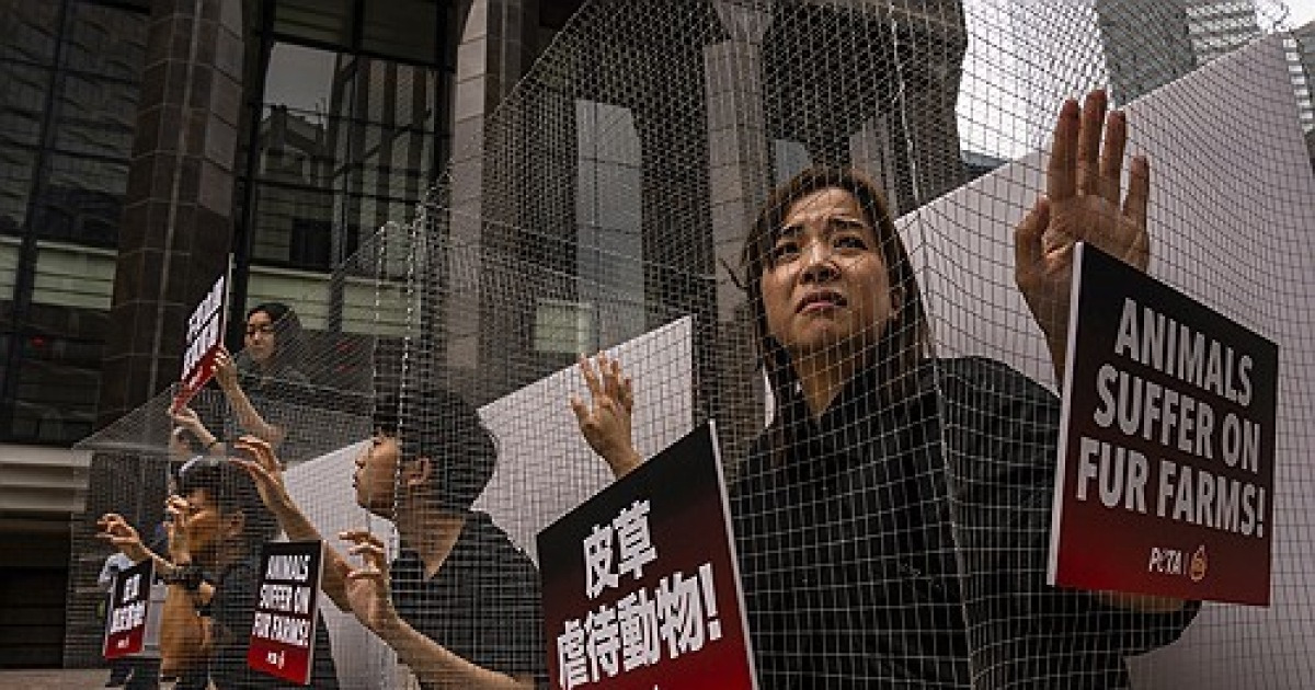 Hong Kong Fur Fashion Protest