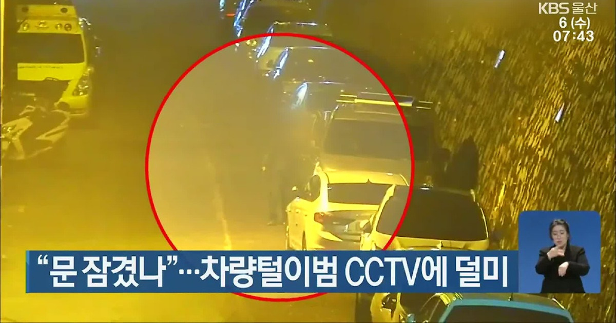“문 잠겼나”…차량털이범 Cctv에 덜미