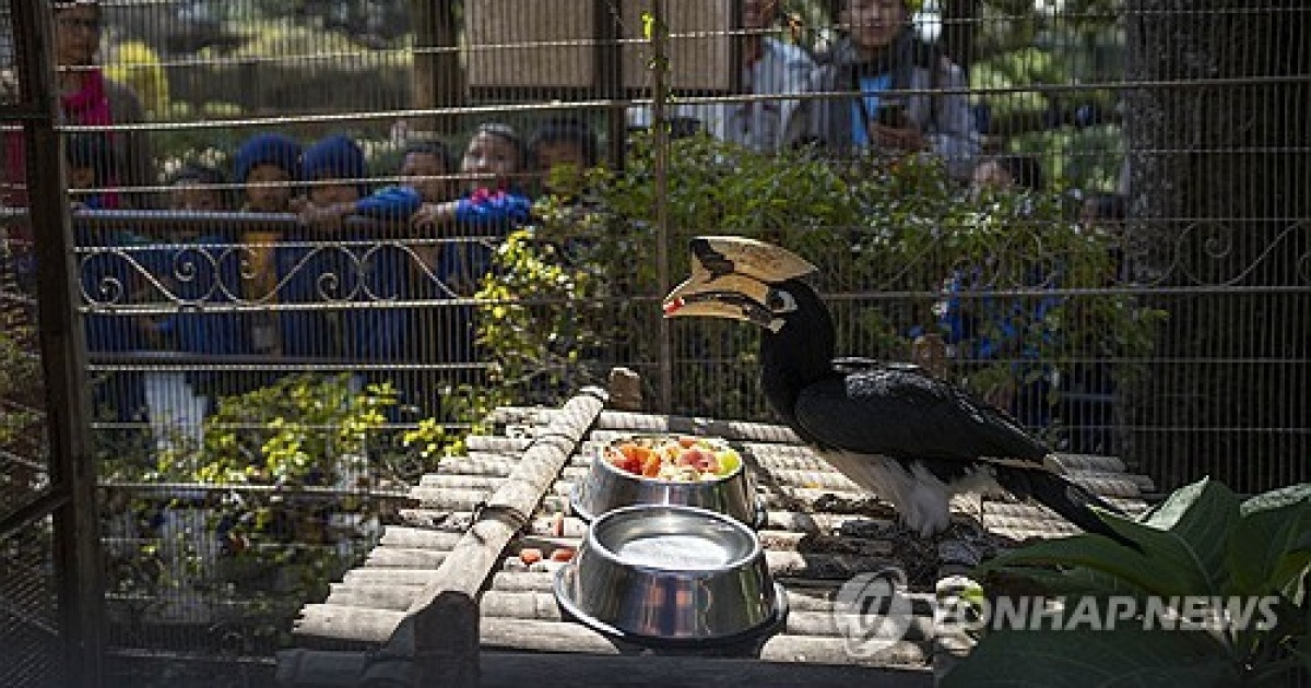 Nepal Zoo Meals Photo Gallery