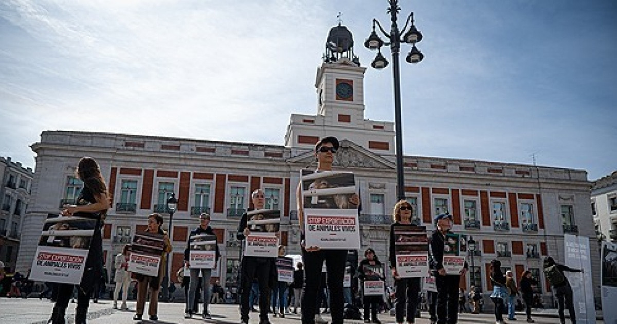 SPAIN ANIMAL RIGHTS