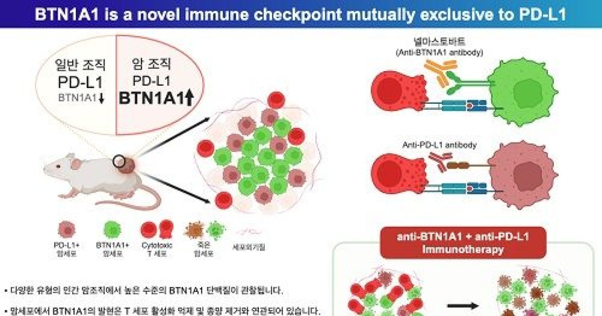 에스티큐브, BTN1A1 억제제 항암 효과…美SITC 학술지 게재