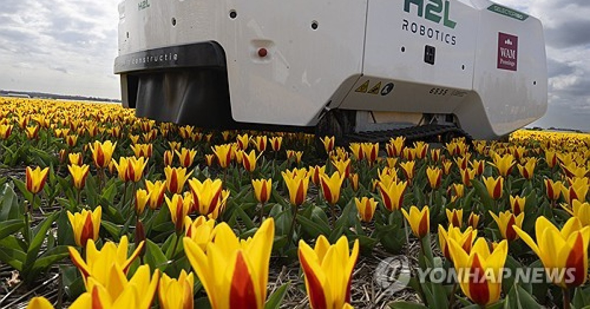 Netherlands Tulip Robot