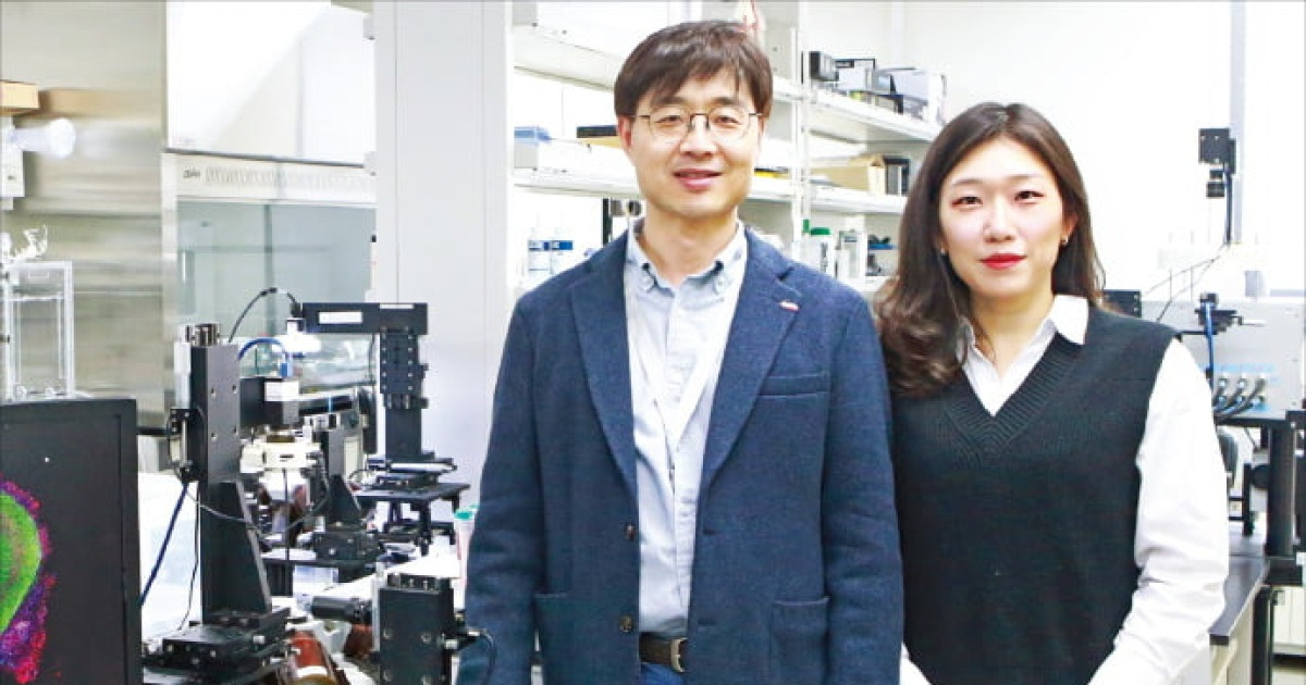 DGIST, AI 기반 의료·로봇 융합연구…'첨단 치료법' 세계가 주목