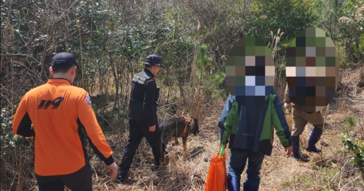 Many people get lost while picking bracken in spring