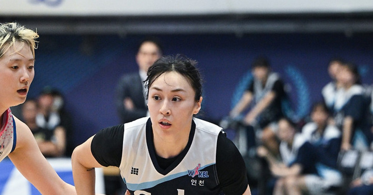 '대어가 쏟아진다' WKBL, FA 대상자 20명 공시...박지현-김소니아-진안 등 포함